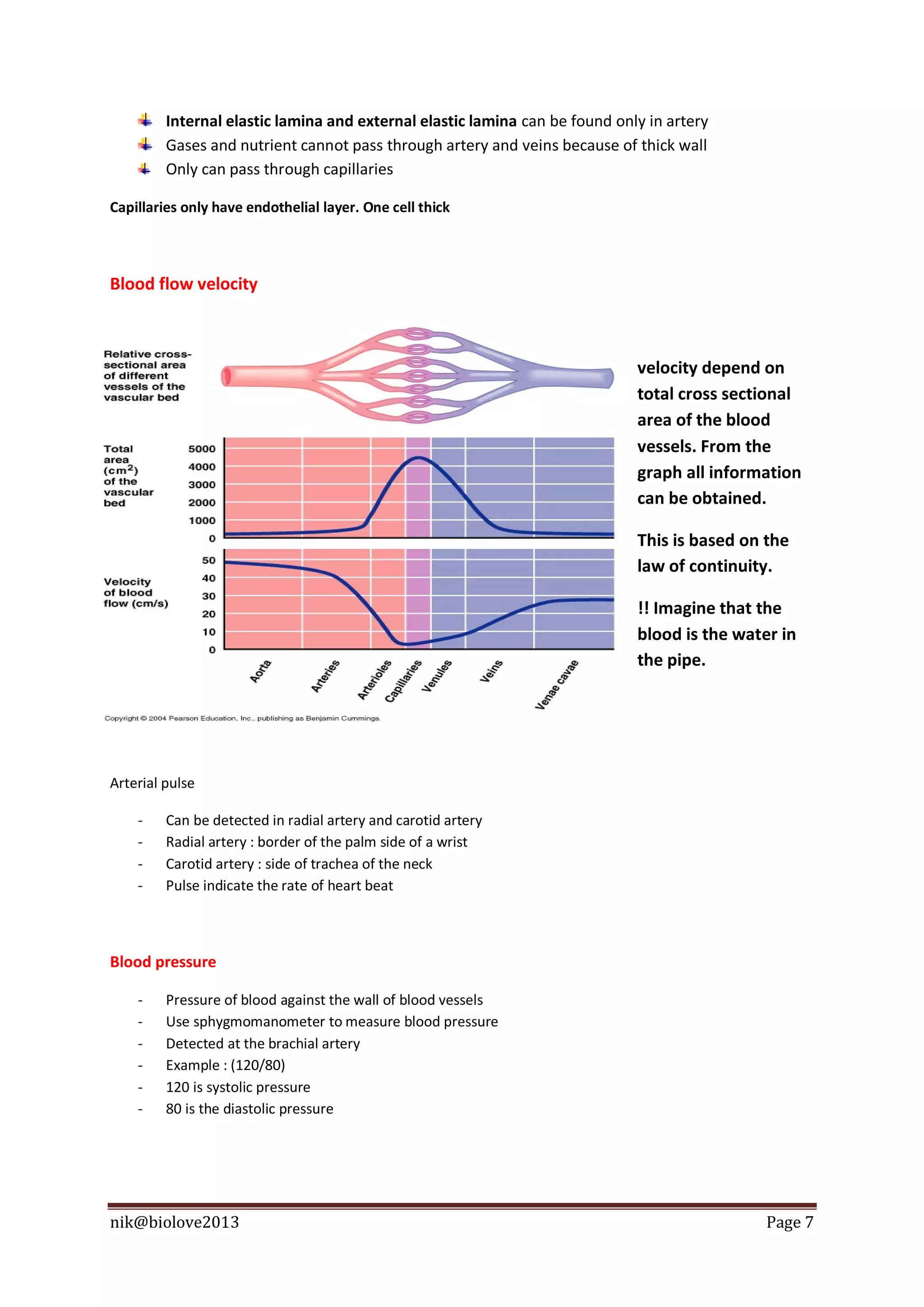Heart structures | PDF