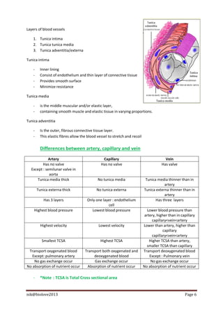 Heart structures | PDF