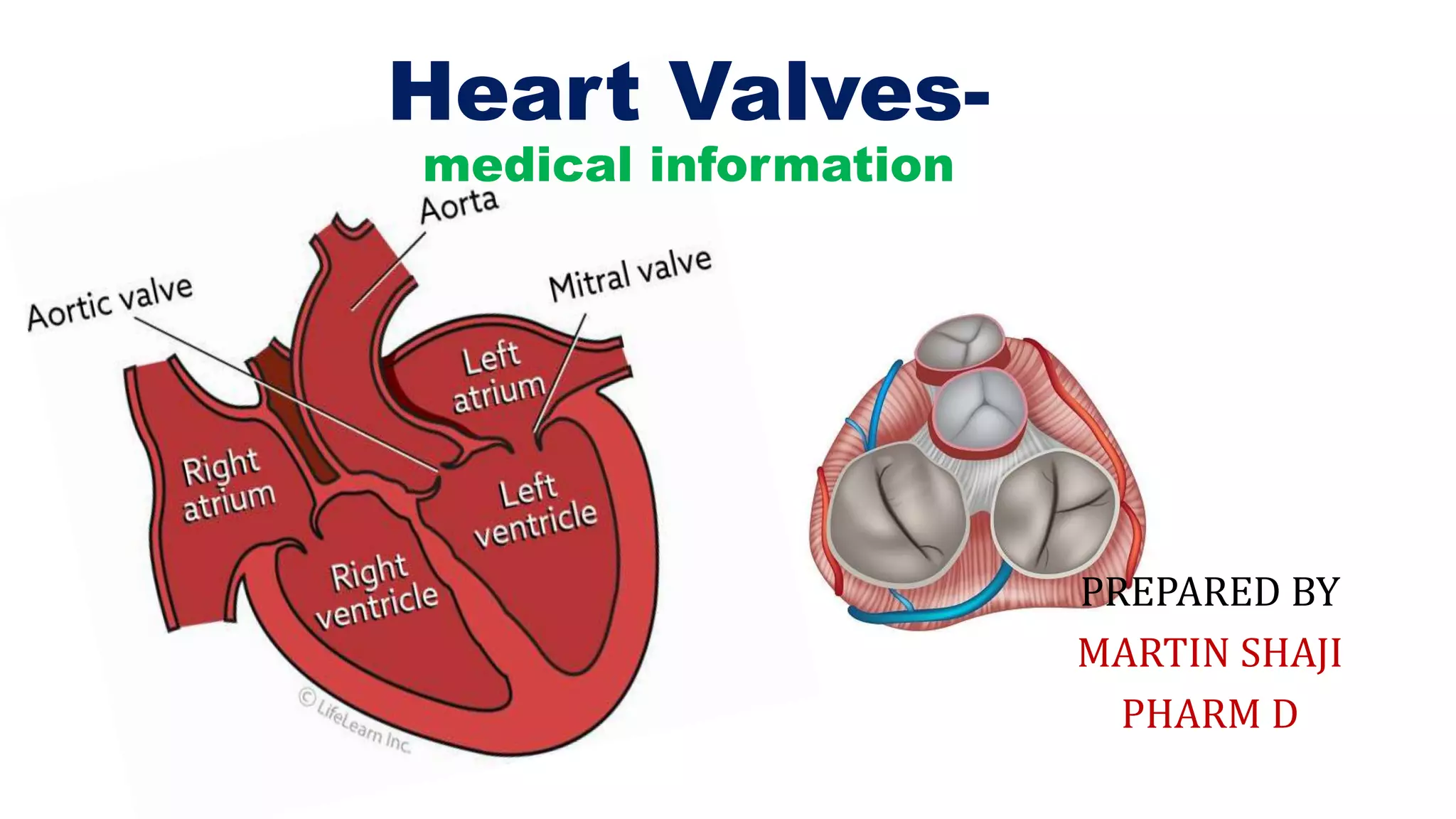 Heart valves- A detailed medical information about heart valves ...