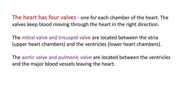 Heart valves- A detailed medical information about heart valves ...