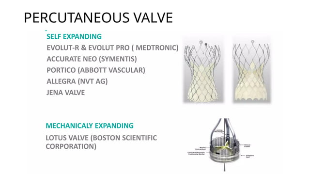 ANATOMY OF HEART VALVES AND PROSTHETIC VALVES.pptx