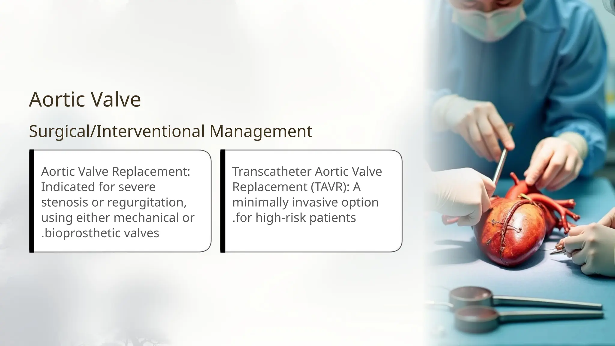 Comprehensive Anatomical and Physiological Description of Human Heart ...