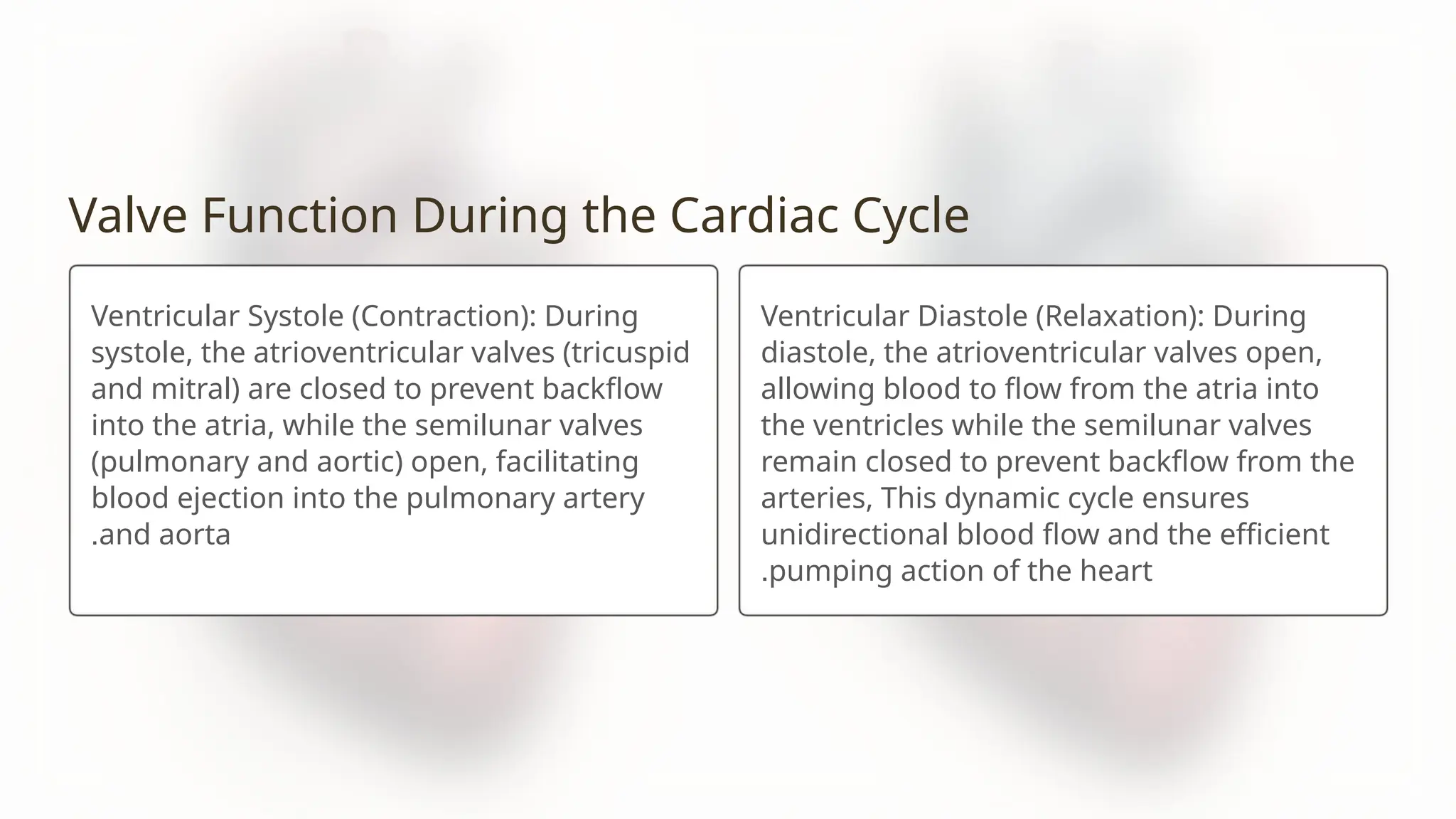 Comprehensive Anatomical and Physiological Description of Human Heart ...