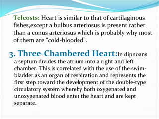 HEART_VERTEBRATES_PDF7g8g8g8g8ggig8g8g8g8g | PDF