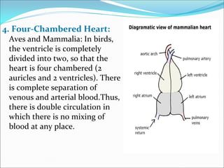 HEART_VERTEBRATES_PDF7g8g8g8g8ggig8g8g8g8g | PDF