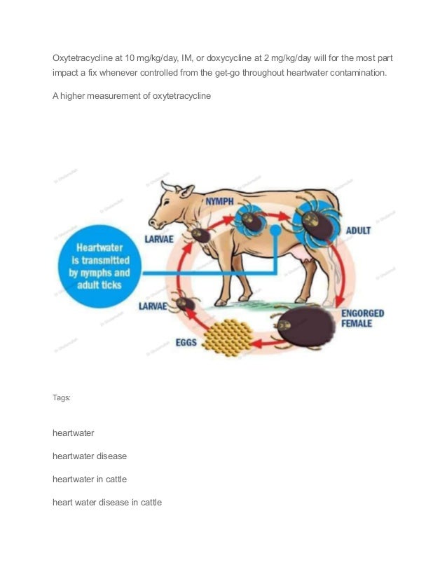 Heartwater (Hydropericardium) disease in cattle, goats,sheep , clinical ...