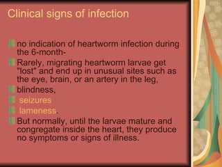 Heartworm | PPT