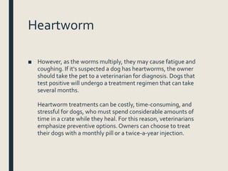 Treating and Preventing Heartworm in Dogs | PPT