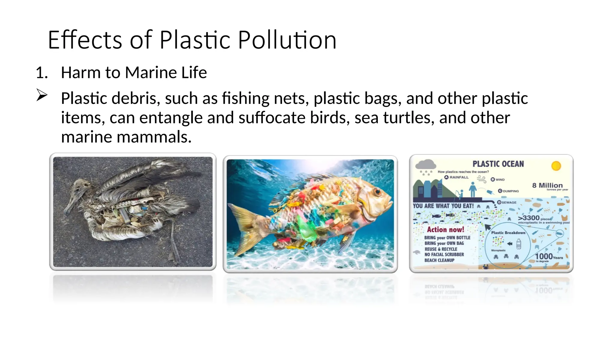 Presentation on Plastic pollution for environment day | PPT