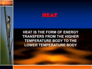 Heat | PPT