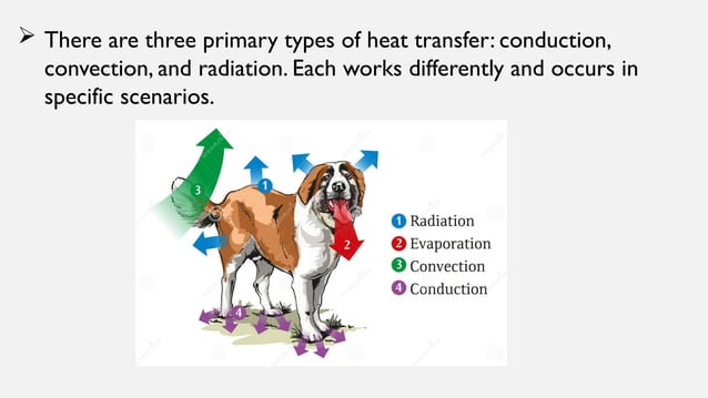 Understanding Heat: Exploring Its Definition, Types of Heat Transfer ...