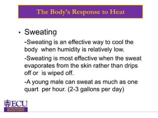 Heat-Stress.pptx