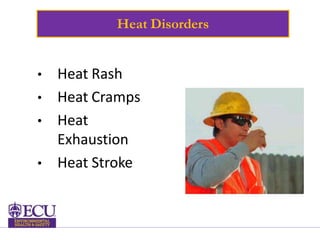Heat-Stress.pptx