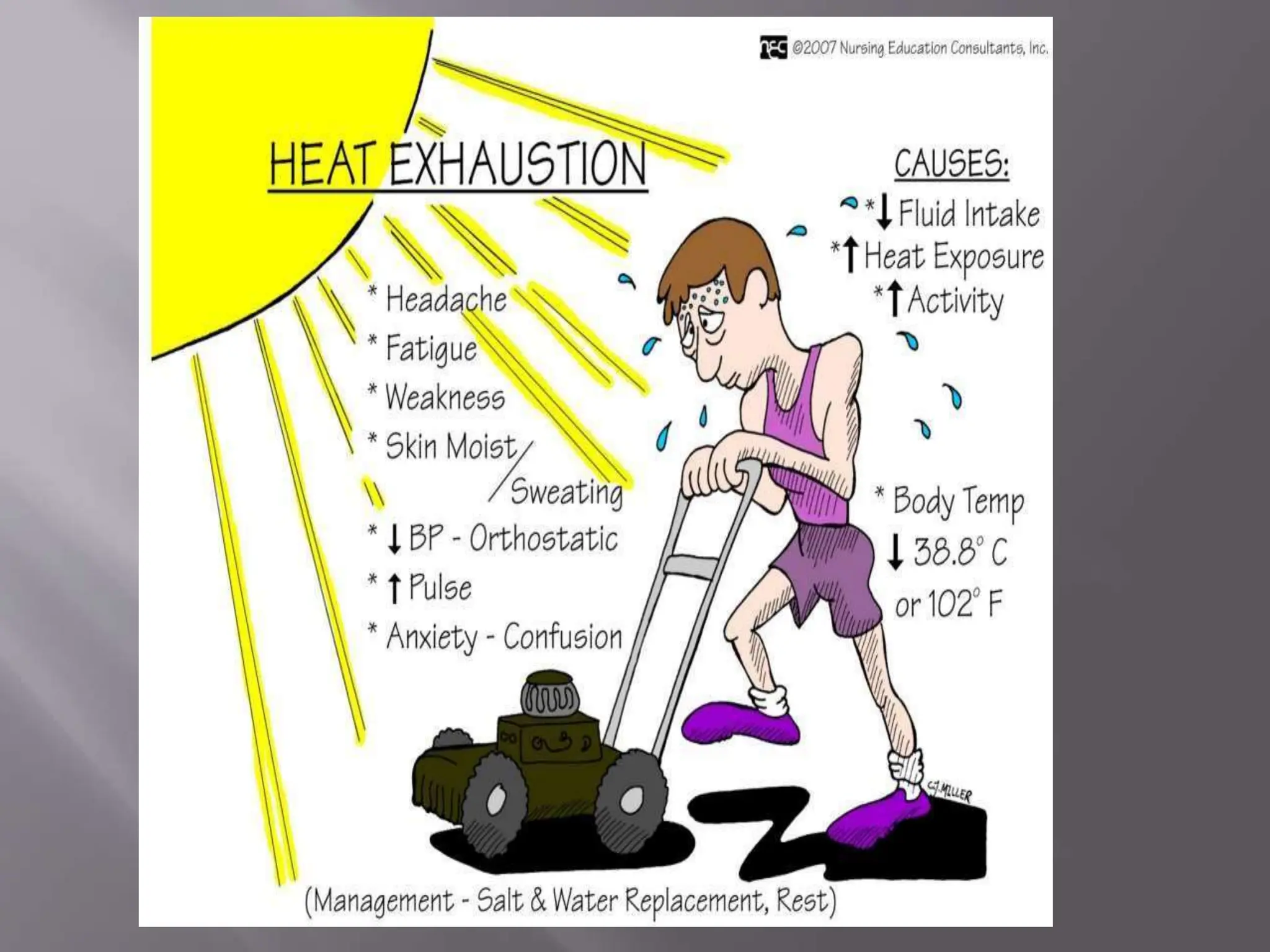 heat 1. heat and related illness ppt.ppt