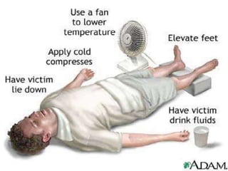 heat 1. heat and related illness ppt.ppt