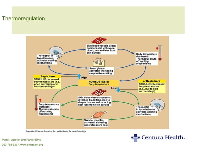 Heat And Cold Emergencies for EMS | PPT | Medical Health