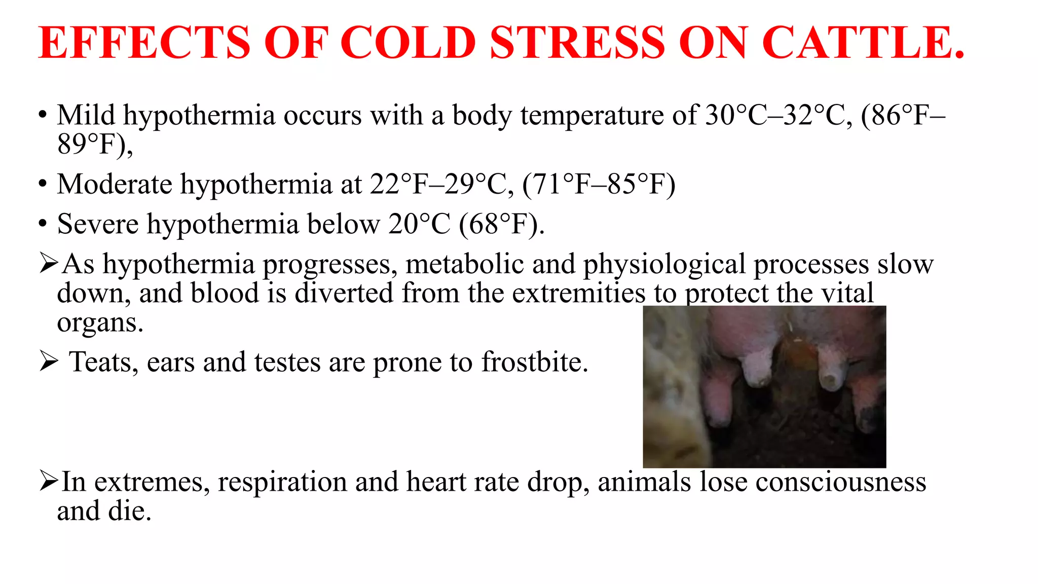 Heat and cold stress management | PPTX