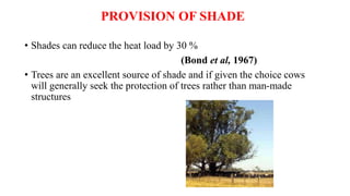 Heat and cold stress management | PPTX