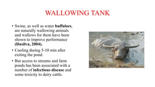 Heat and cold stress management | PPTX