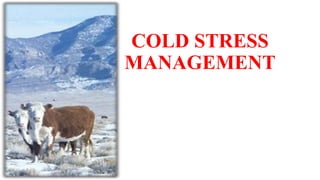 Heat and cold stress management | PPTX