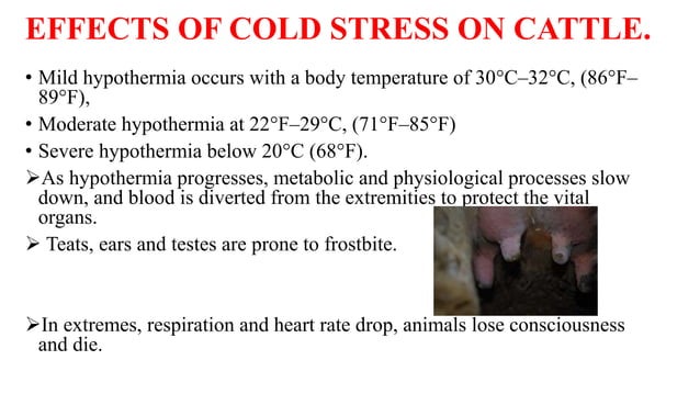 Heat and cold stress management | PPTX