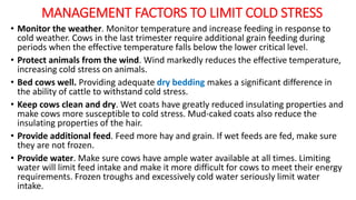 Heat and cold stress management | PPTX