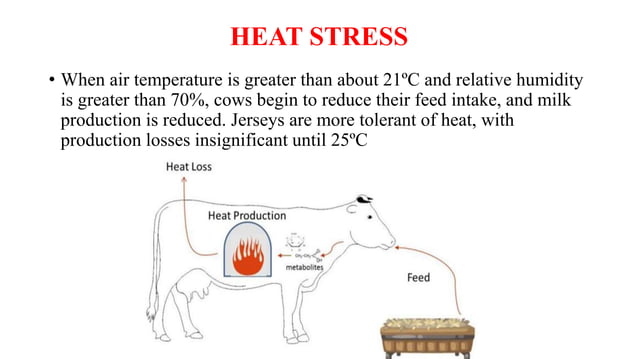 Heat and cold stress management | PPTX