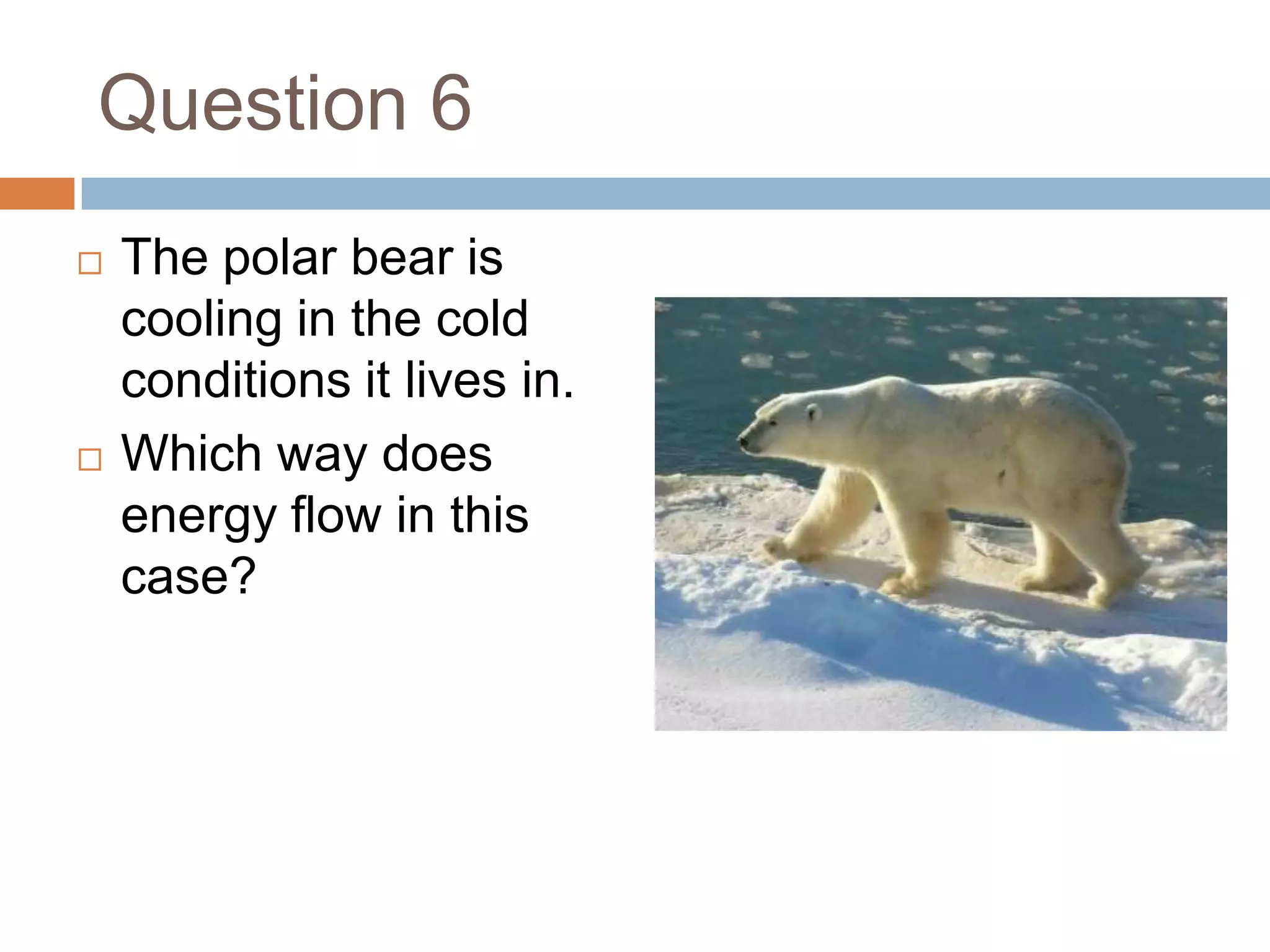 Heat And Temperature Quiz 2 | PPTX