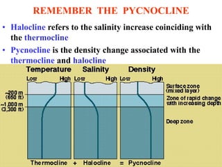 Heat budget and Ocean currents.pptx