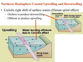 Heat budget and Ocean currents.pptx