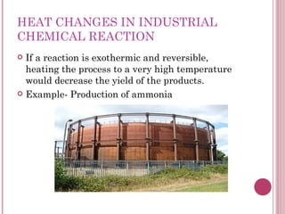 Heat changes in chemical reactions | PPT