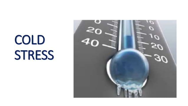 Heat Cold Stress Burns for occupational health and safety management | PPT