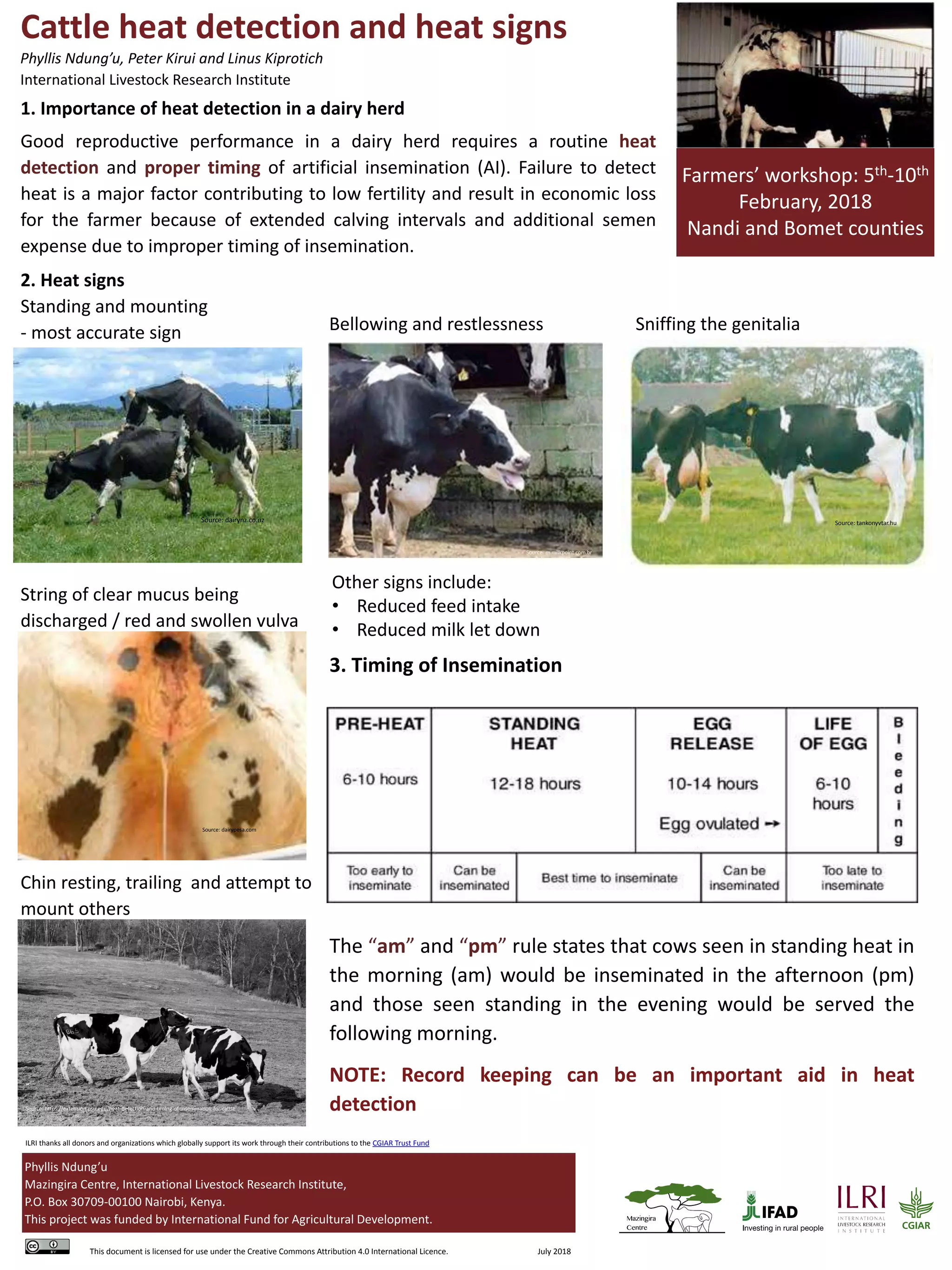 Cattle heat detection and heat signs | PPTX