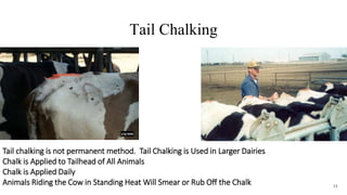 heat detection by Mukul sharma.pptx