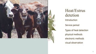 heat detection by Mukul sharma.pptx