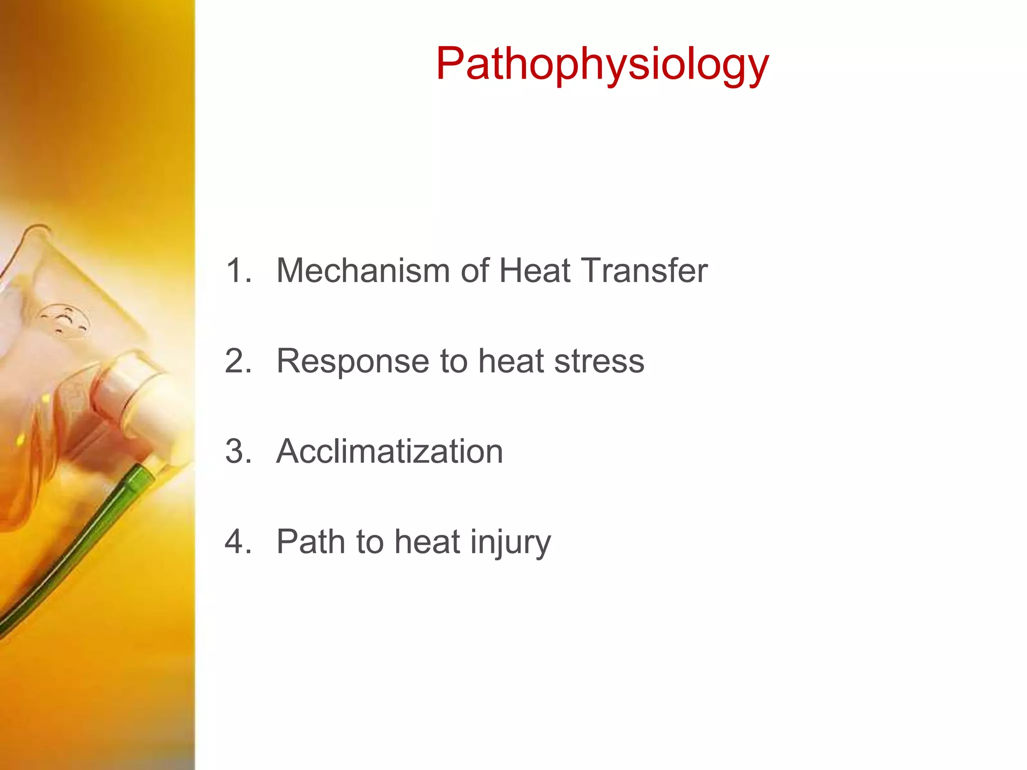 Heat emergencies | PPTX