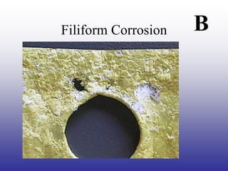 Blygold Heat Exchanger Protection | PDF