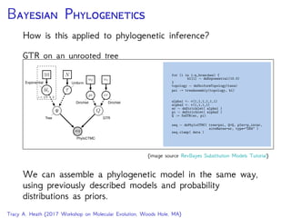 Integrative Bayesian Analysis in RevBayes | PDF | Genetics | Science