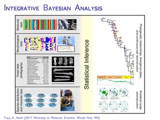 Integrative Bayesian Analysis in RevBayes | PDF | Genetics | Science