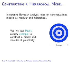 Integrative Bayesian Analysis in RevBayes | PDF | Genetics | Science