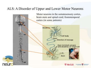 E-Rare project “RNA-ALS” | PPTX