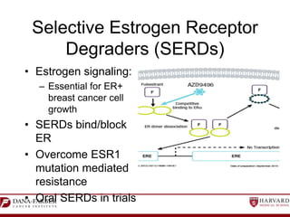 Moving Beyond Resistance: Current Research in ER+ Metastatic Breast ...