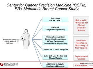 Moving Beyond Resistance: Current Research in ER+ Metastatic Breast ...