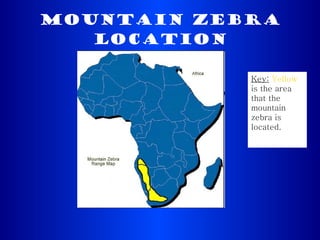 Heather zeeb; mountain zebra fith period | PPT