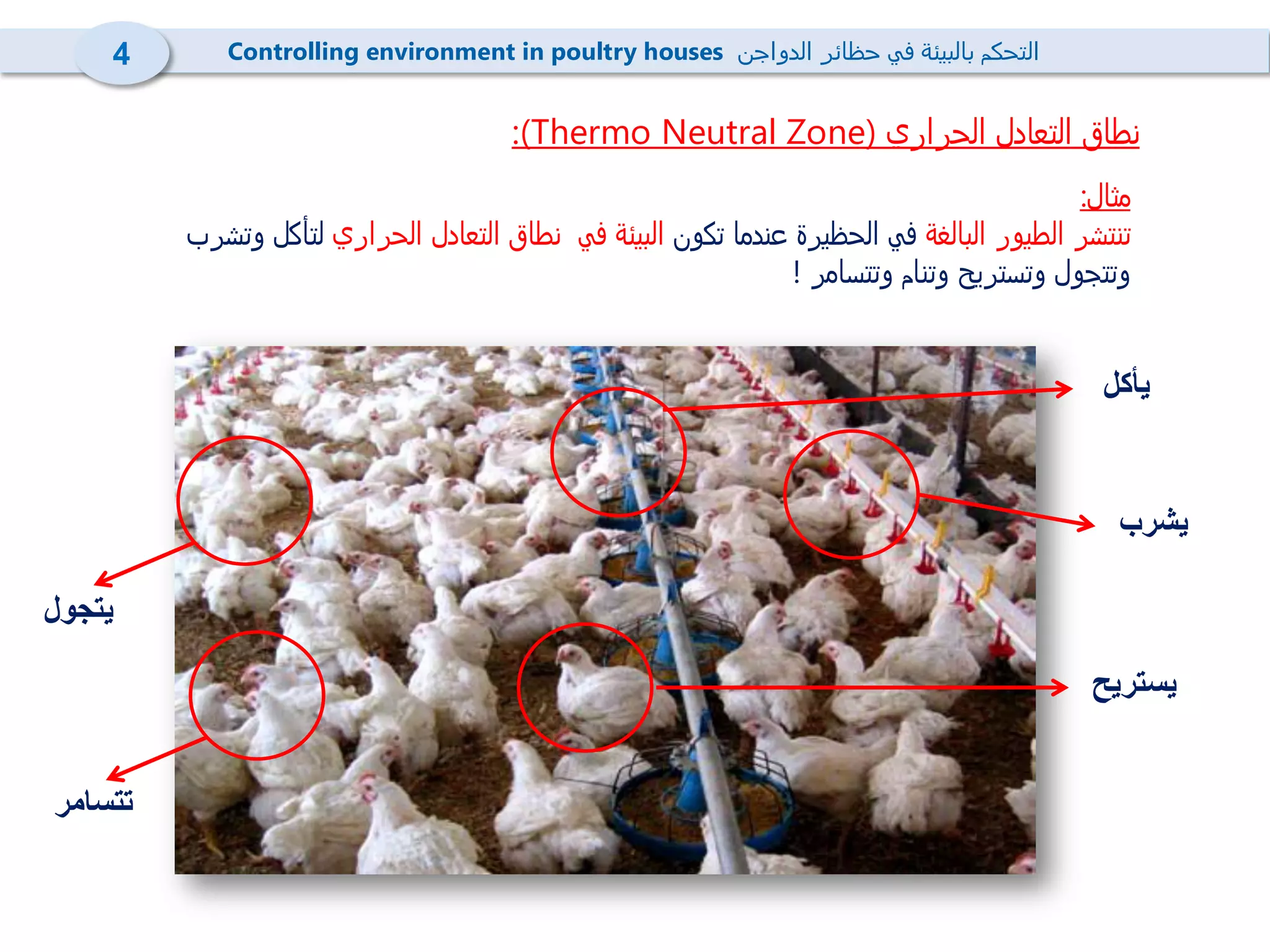 4- Heating in poultry houses تدفئة حظائر الدواجن | PDF