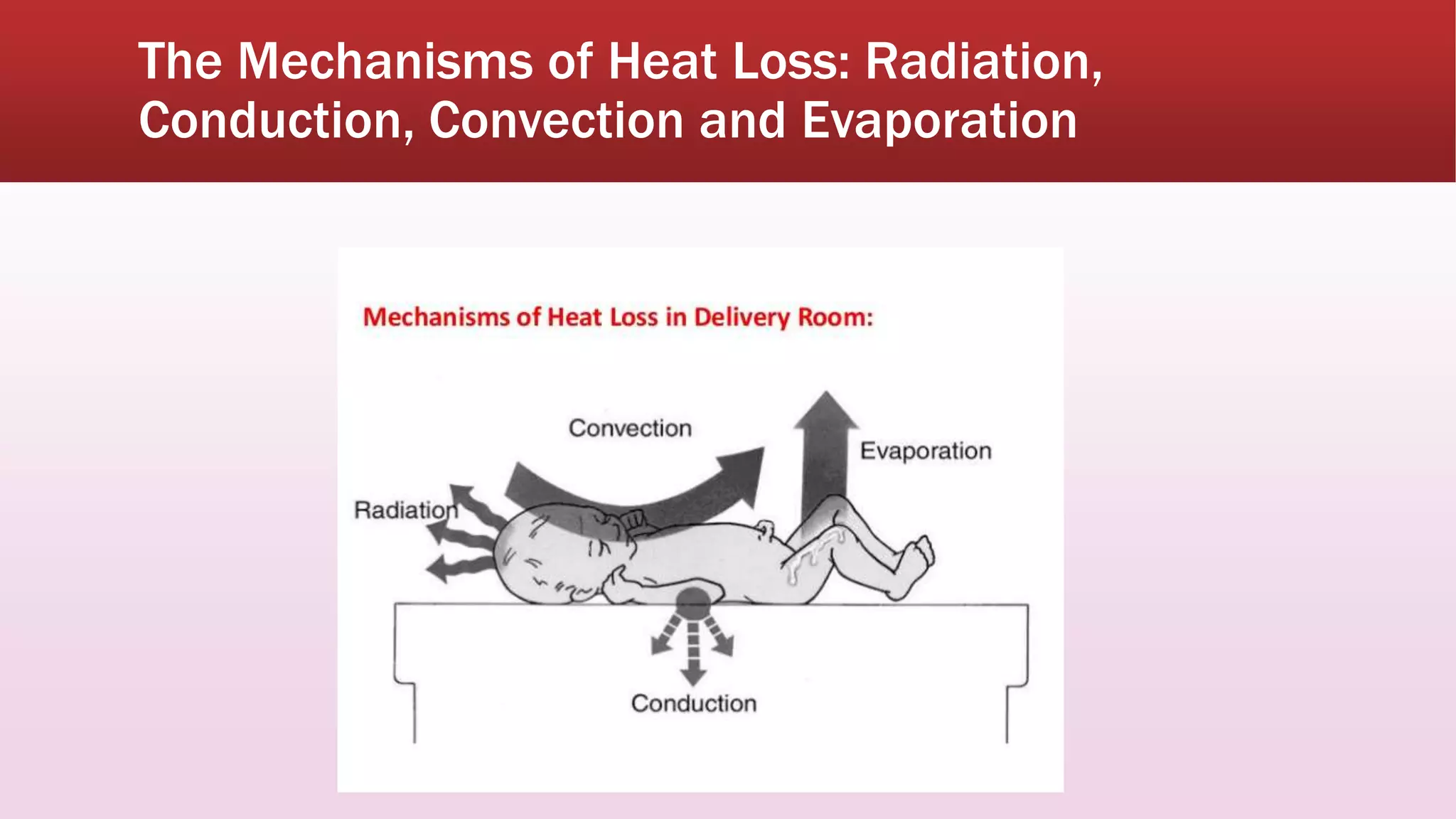 Heat Loss Prevention in Neonates | PPTX