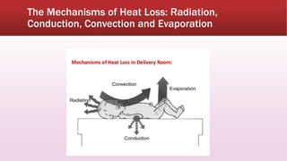 Heat Loss Prevention in Neonates | PPTX