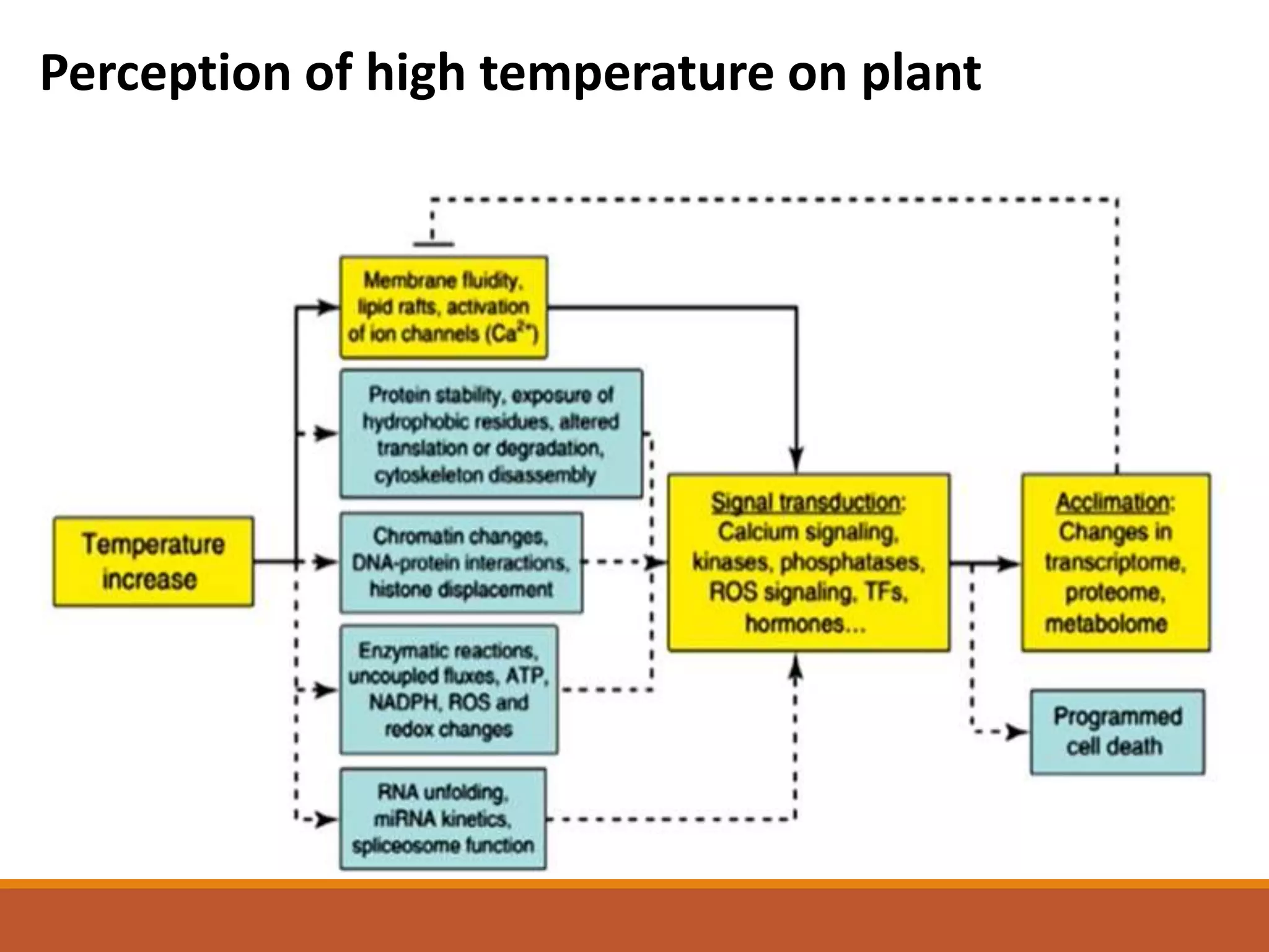Assignment on Heat Stress on Plant | PPTX