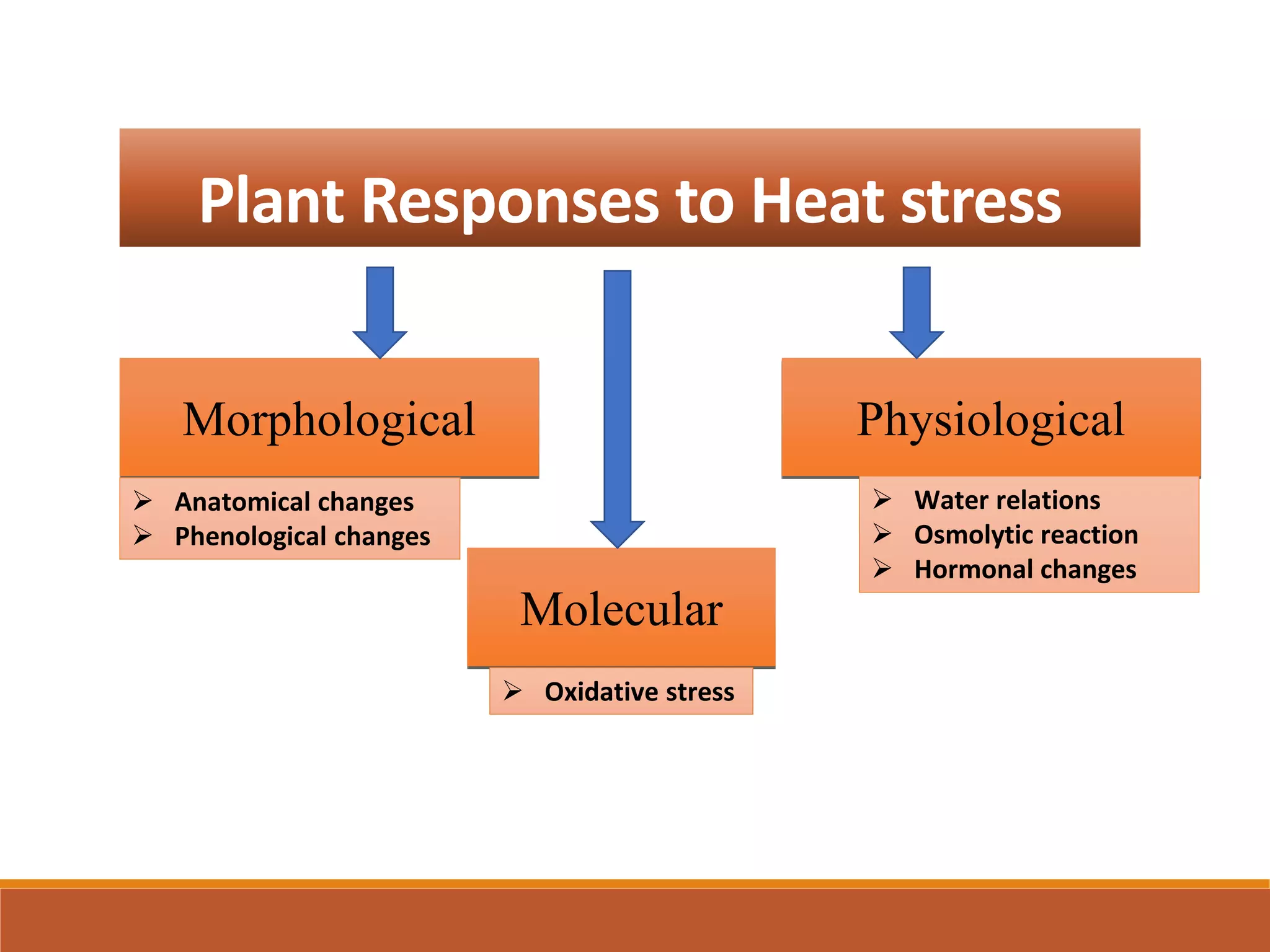 Assignment on Heat Stress on Plant | PPTX
