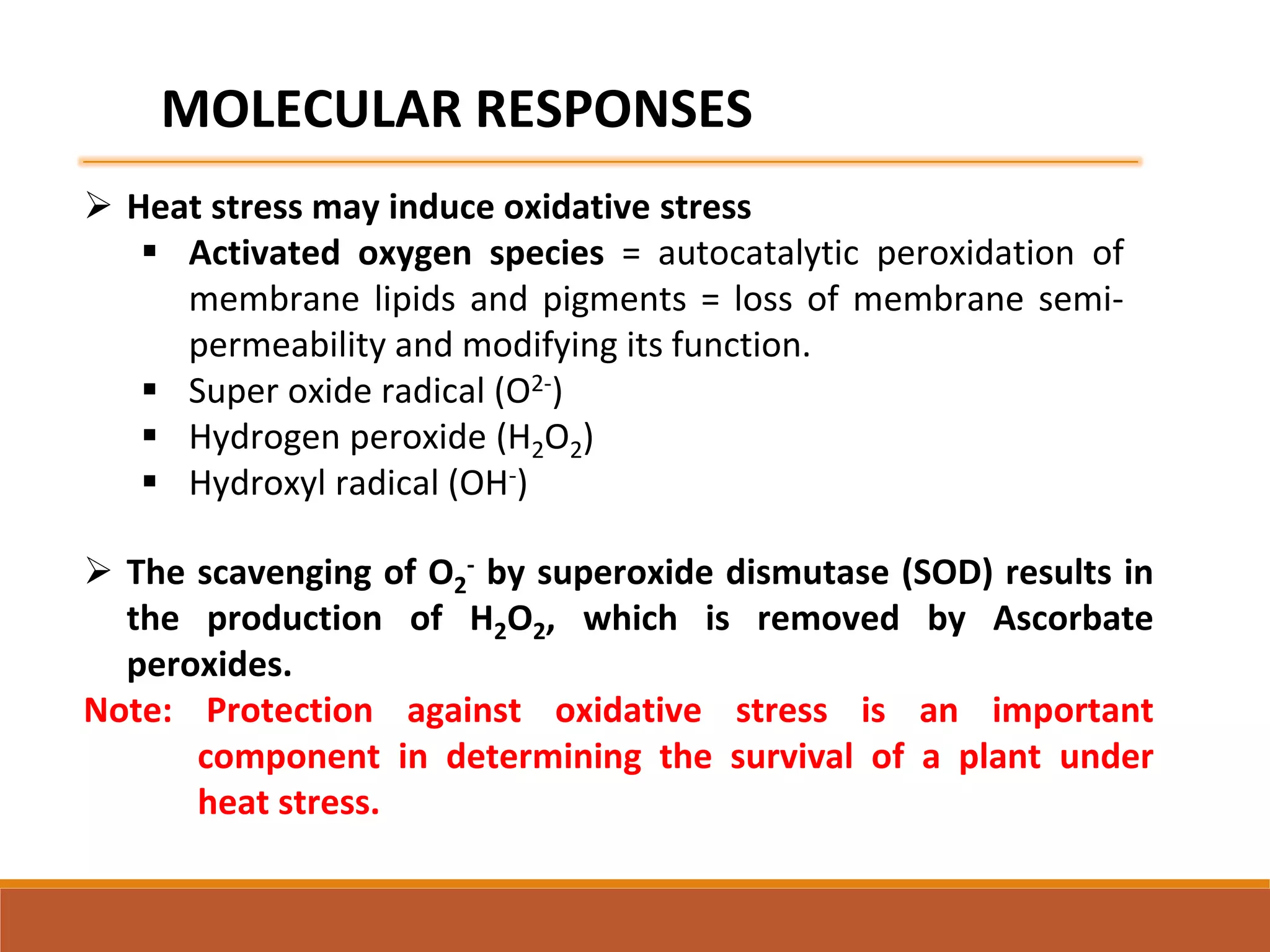 Assignment on Heat Stress on Plant | PPTX